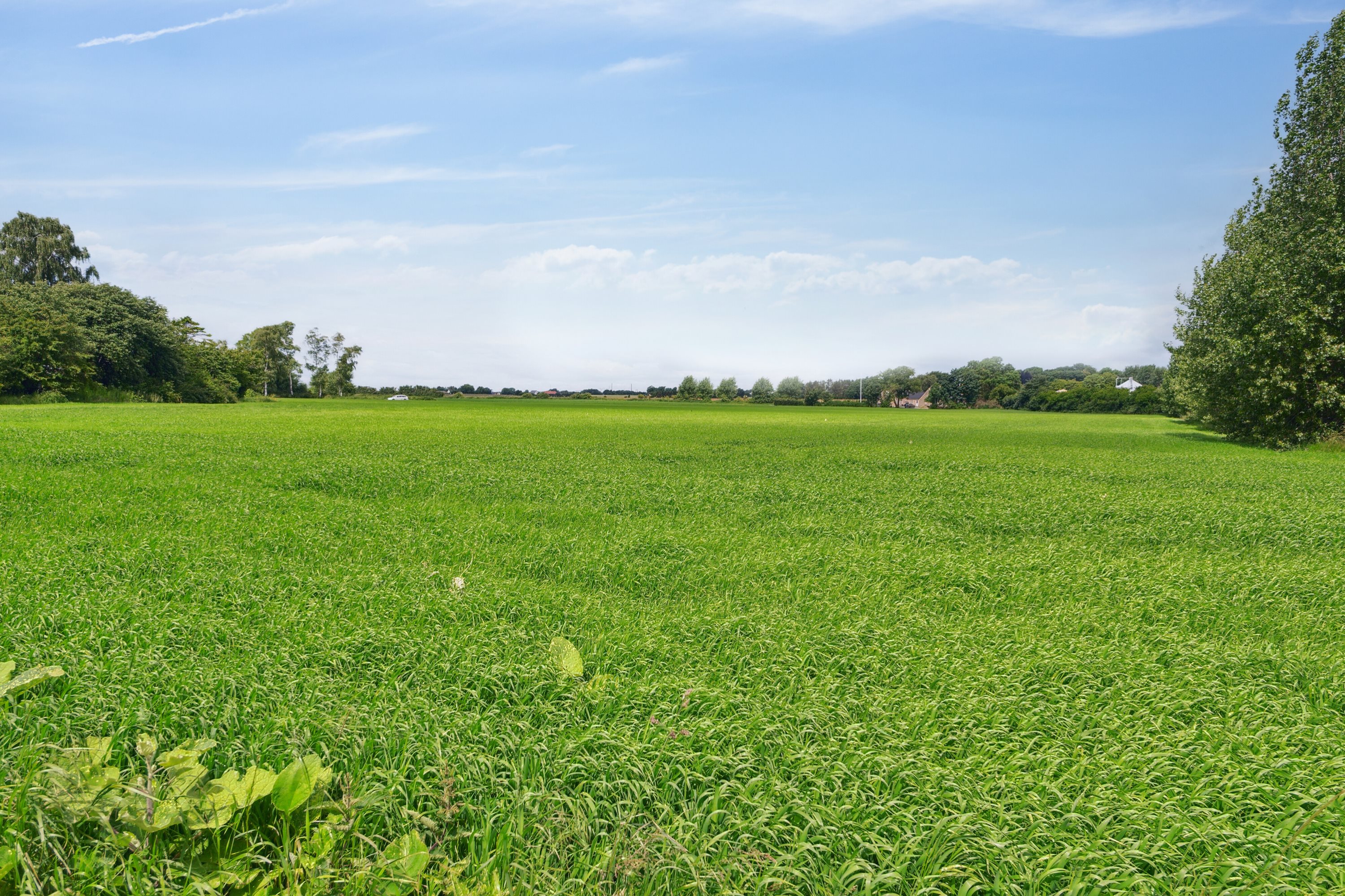 Til salg - Hessum Bygade 21, 5450 Otterup - Nybolig