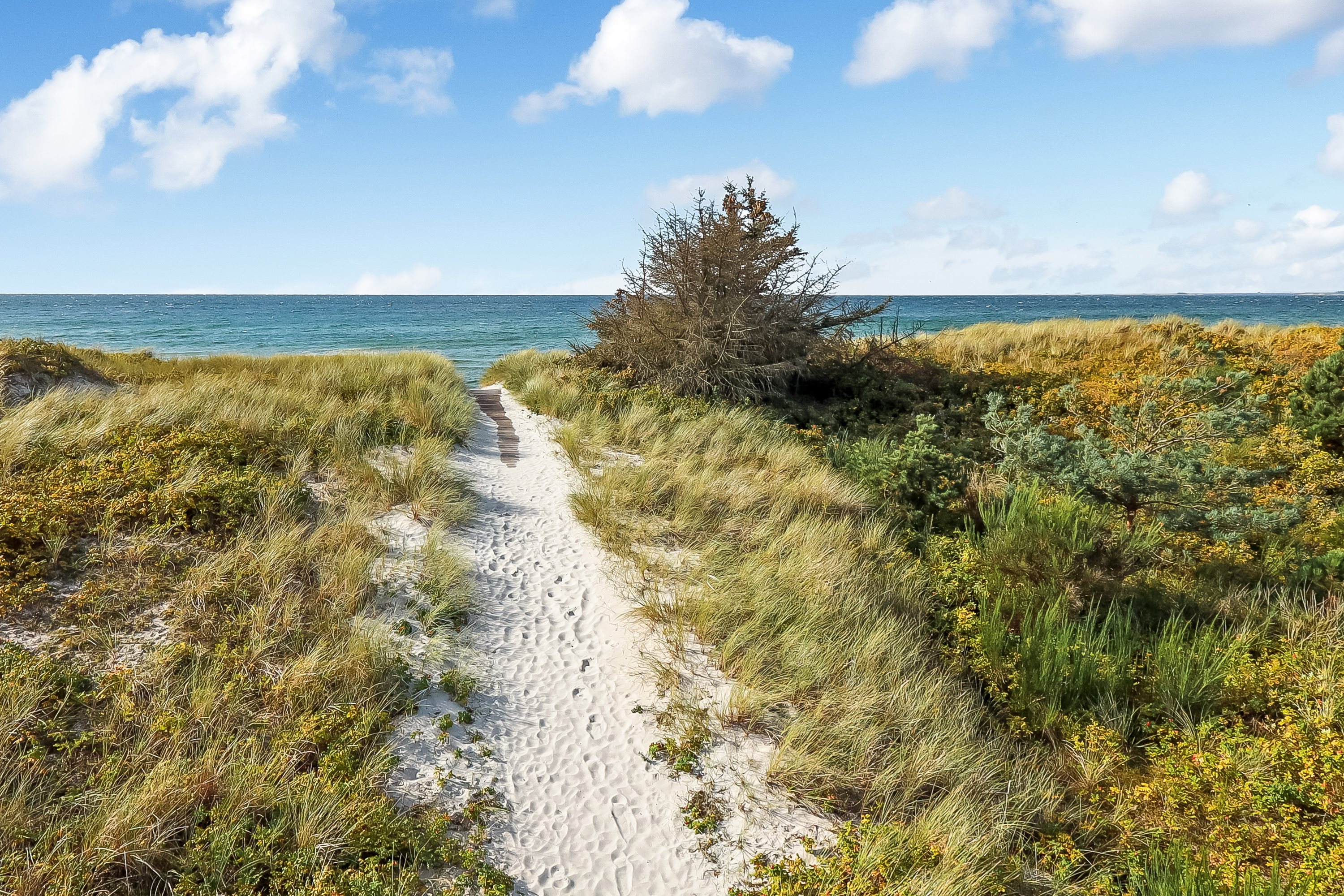 Til salg - Bogfinkevej 5, Hesselbjerg, 5932 Humble - Nybolig